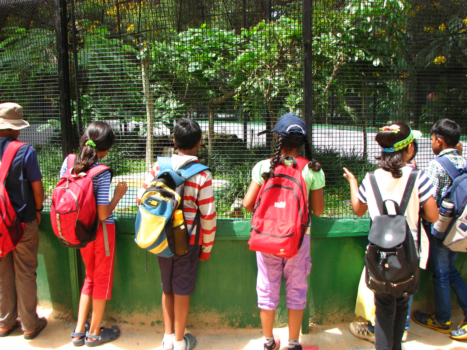 Field Trips & Class Excursions – Poorna Learning Centre